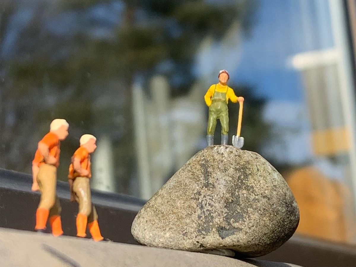 Bauen & Wohnen