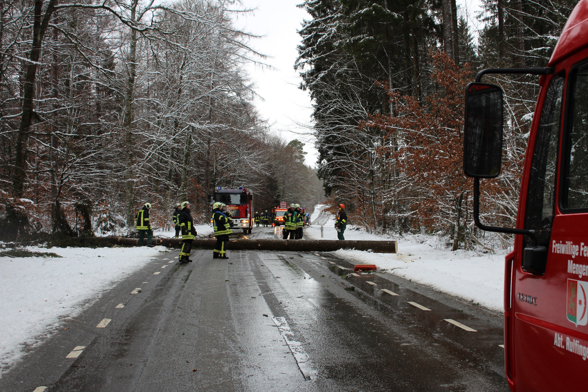 Meldung: Baum über Straße